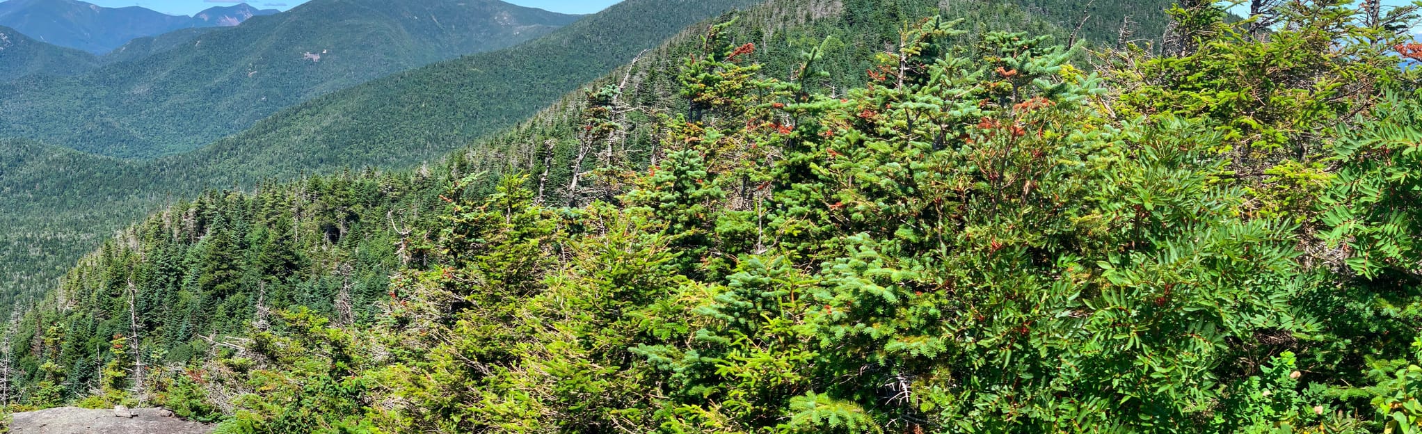 Hunters Pass Loop from Elk Lake: 66 Reviews, Map - New York | AllTrails