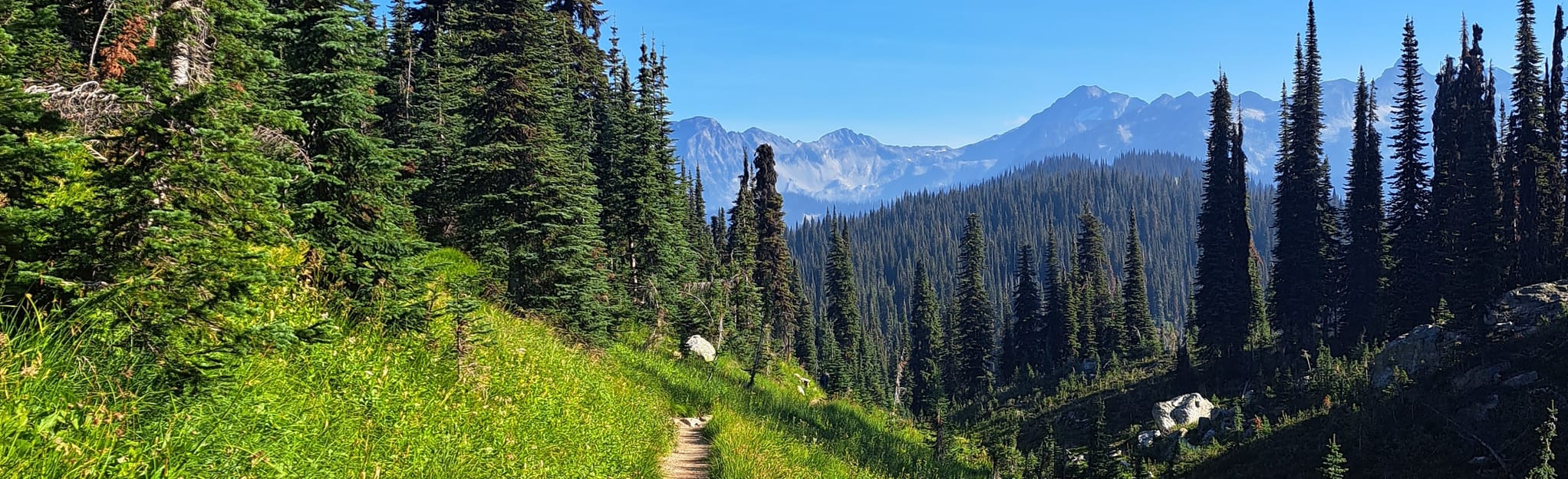 Eva Lake and Miller Lake Trail: 570 Reviews, Map - British Columbia ...