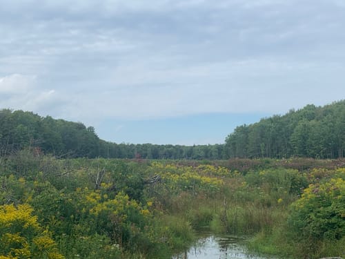 2023 Best 10 Trails and Hikes in Tully | AllTrails