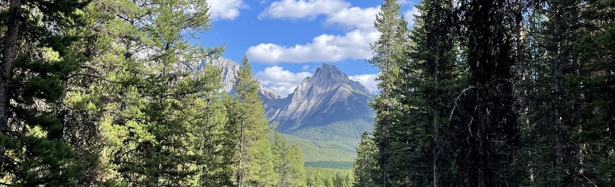 Meadow Trail, Alberta, Canada - 4 Reviews, Map | AllTrails