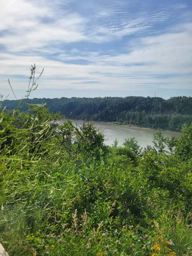 Best River Trails in Devon Voyageur Park | AllTrails