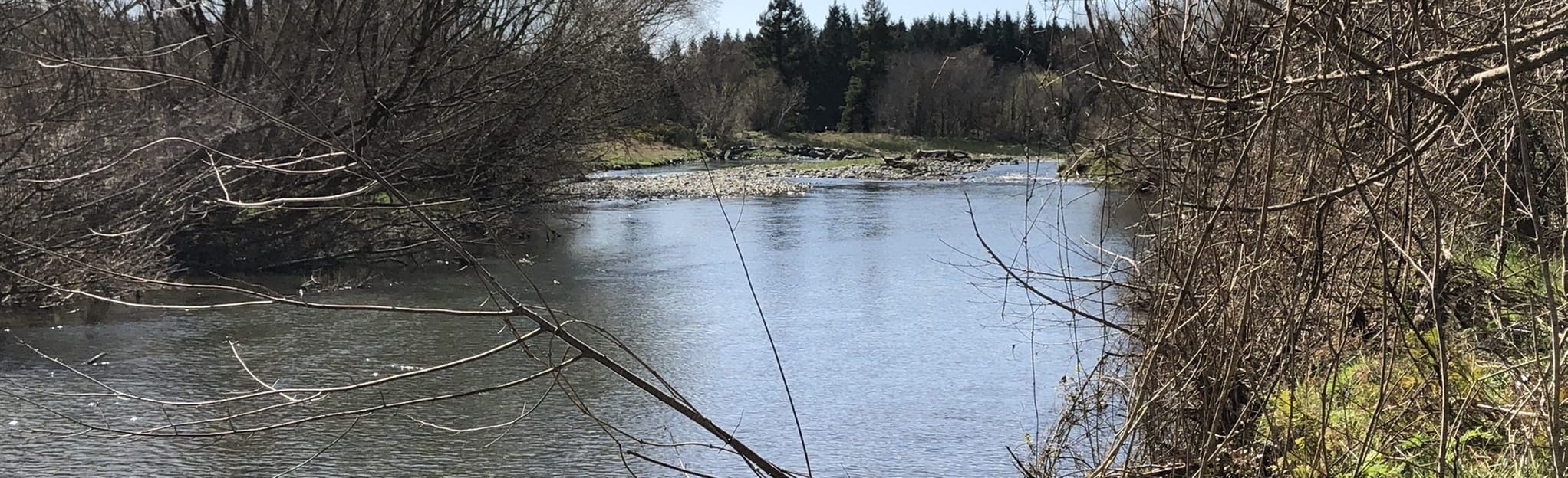 Coalgate Bluff Loop Walk - Canterbury, New Zealand | AllTrails