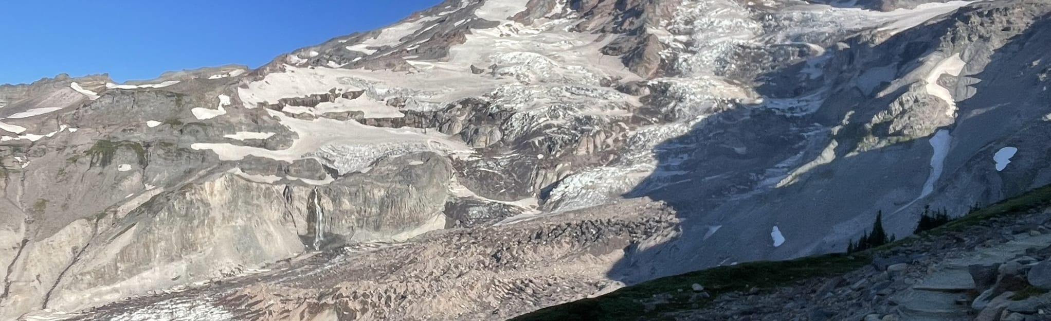 Muir Snowfield Ski Tour, Washington - 1,287 Reviews, Map | AllTrails