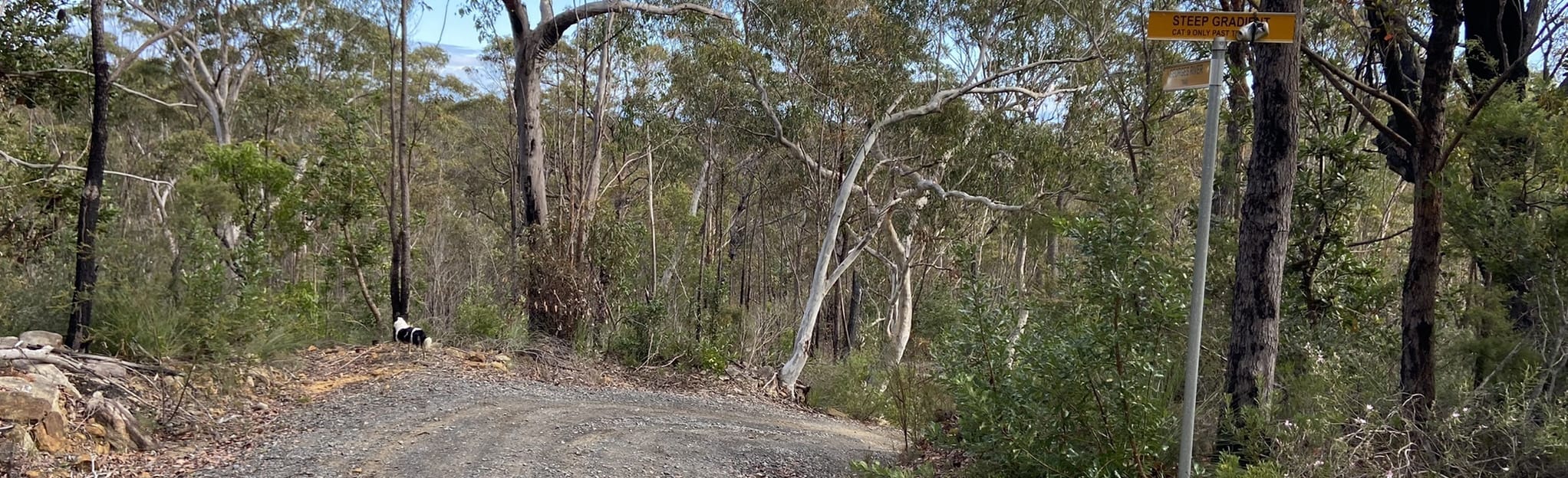 Appin Large Loop: 14 Fotos - New South Wales, Australien | AllTrails