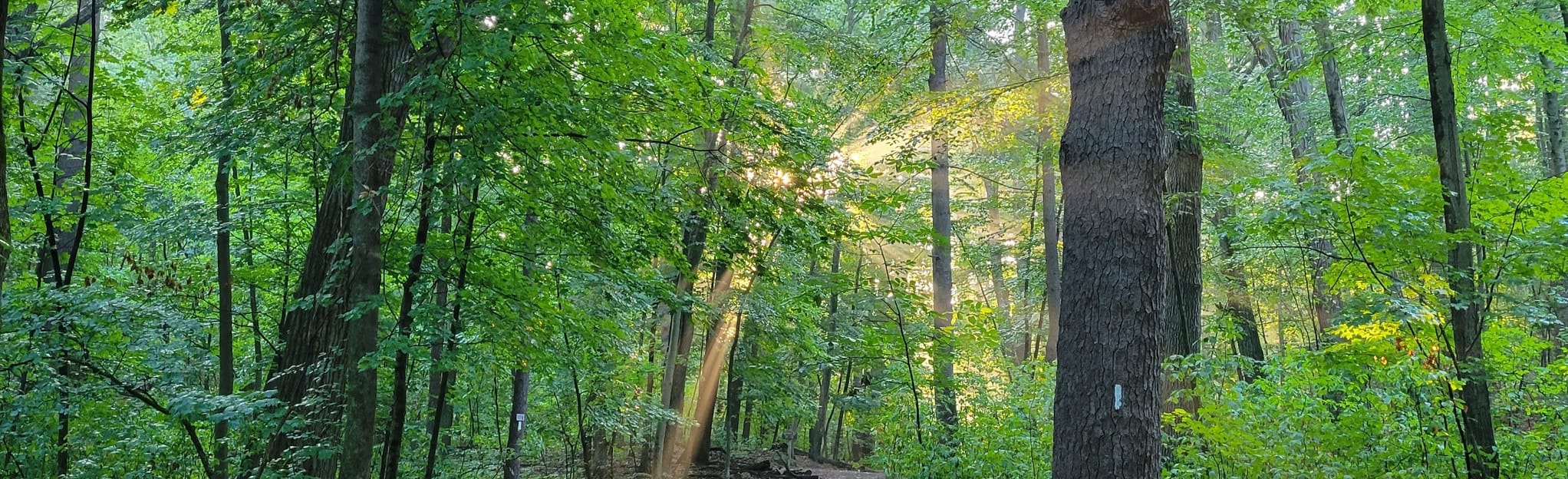 Molly Springs Road to Reservoir Trail, Massachusetts - 213 Reviews, Map ...