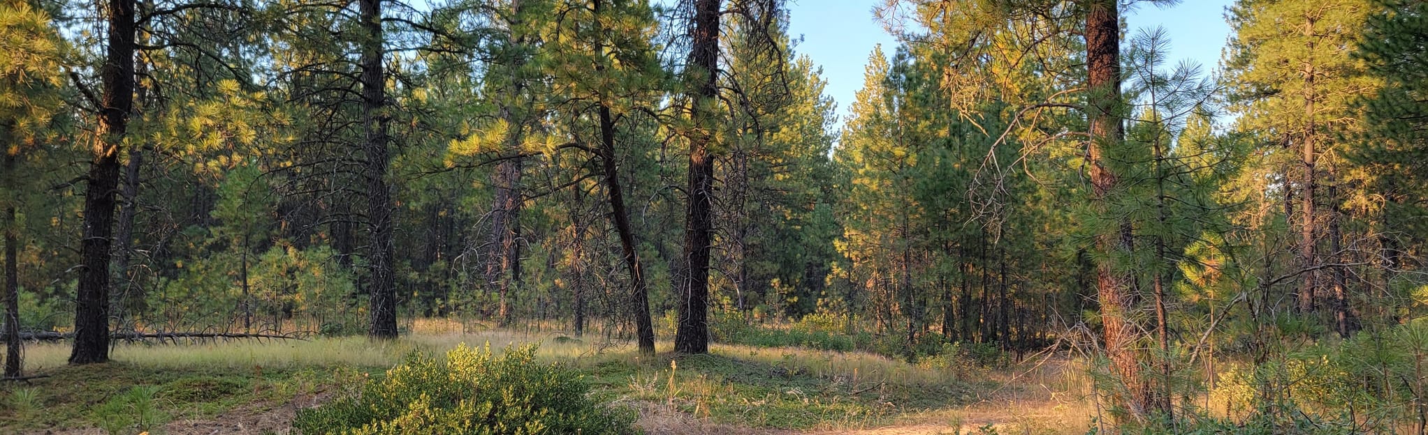 Missile Silo Loop: 129 Reviews, Map - Washington | AllTrails