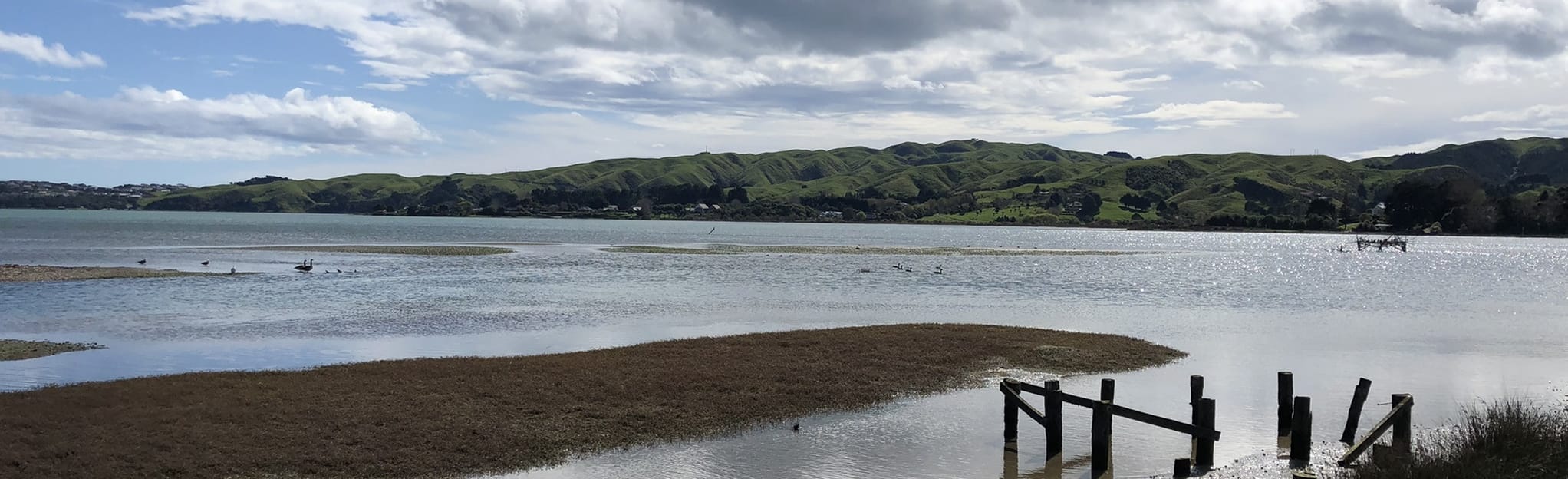 Pauatahanui Wildlife Reserve Walk, Wellington, New Zealand - 5 Reviews ...
