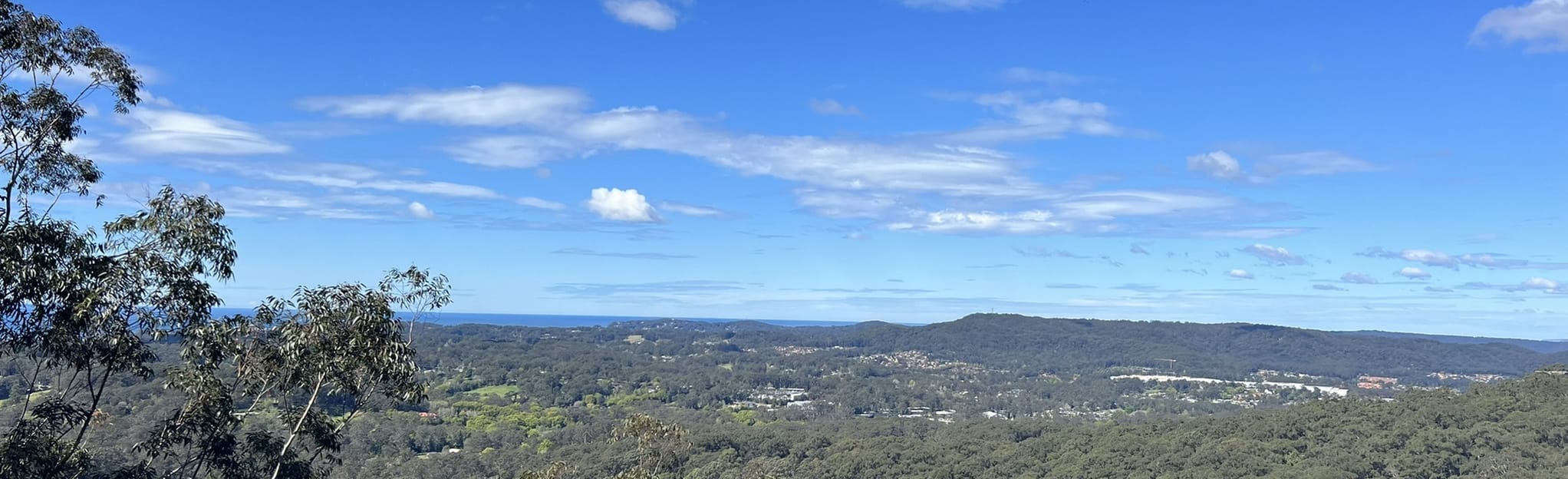 AllTrails | Toomeys Trail Short Loop: 5 Reviews, Map - New South Wales ...