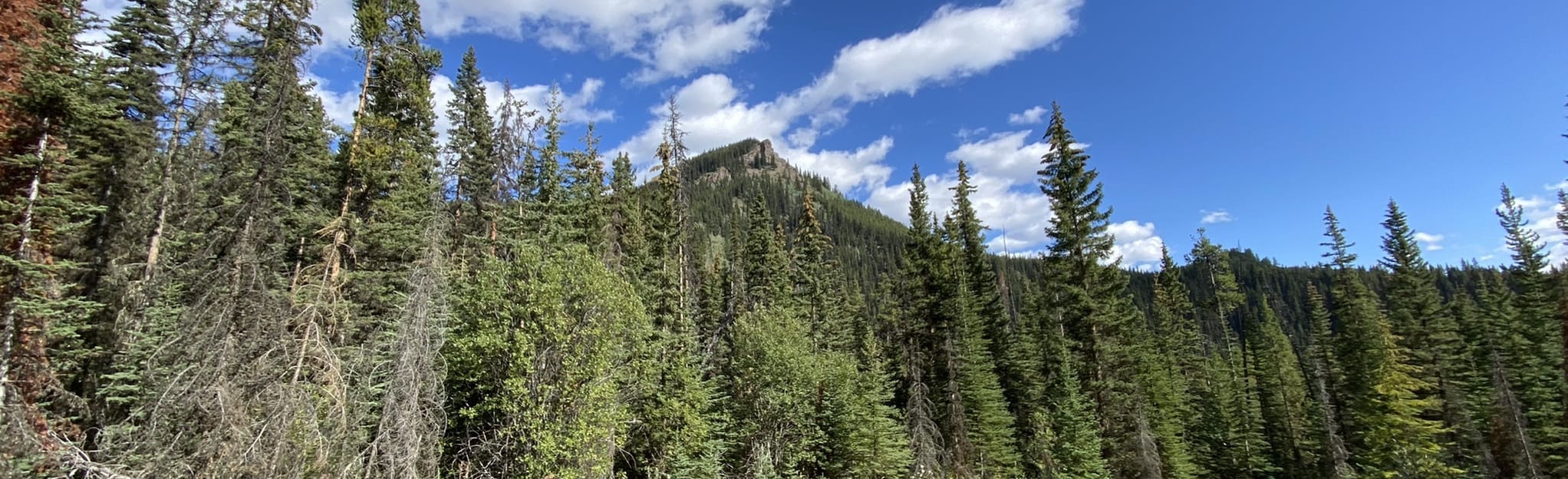 Moose Meadows, Alberta, Canada - 95 Reviews, Map | AllTrails