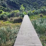 Pararaha Coastal Track to Pararaha Valley [CLOSED], Auckland, New ...