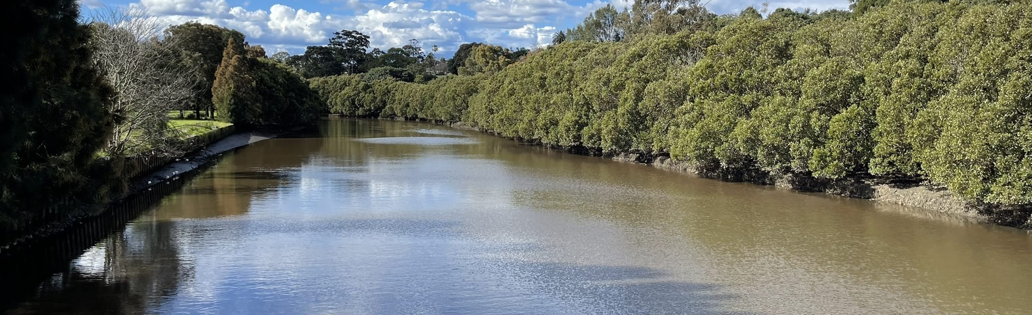 Cooks River Paddle: Tempe to Ewen Park: 47 Reviews, Map - New South ...