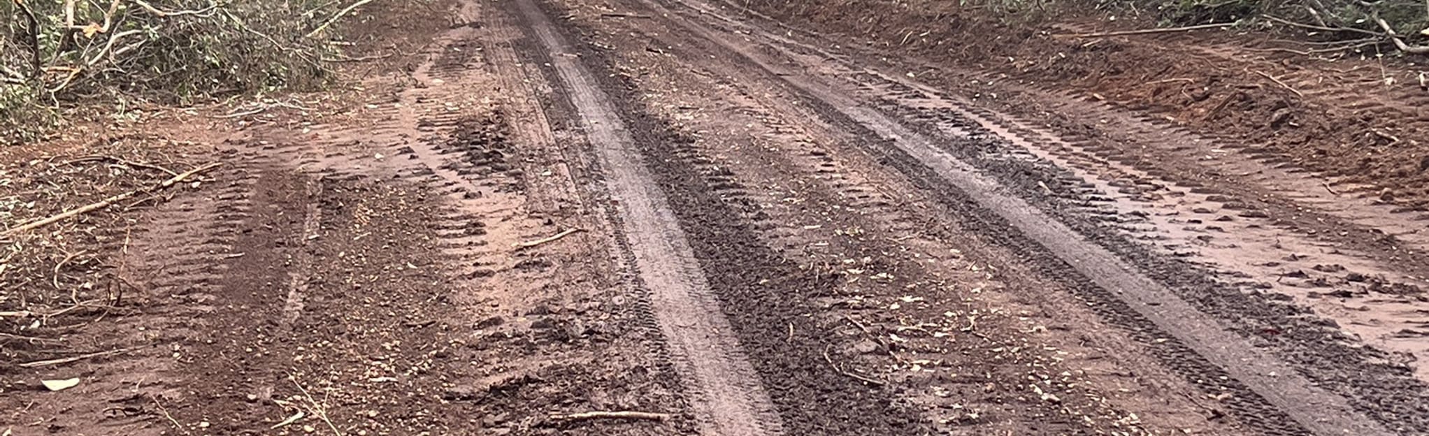 Big Tree Road Walk, Western Australia, Australia - 4 Reviews, Map ...