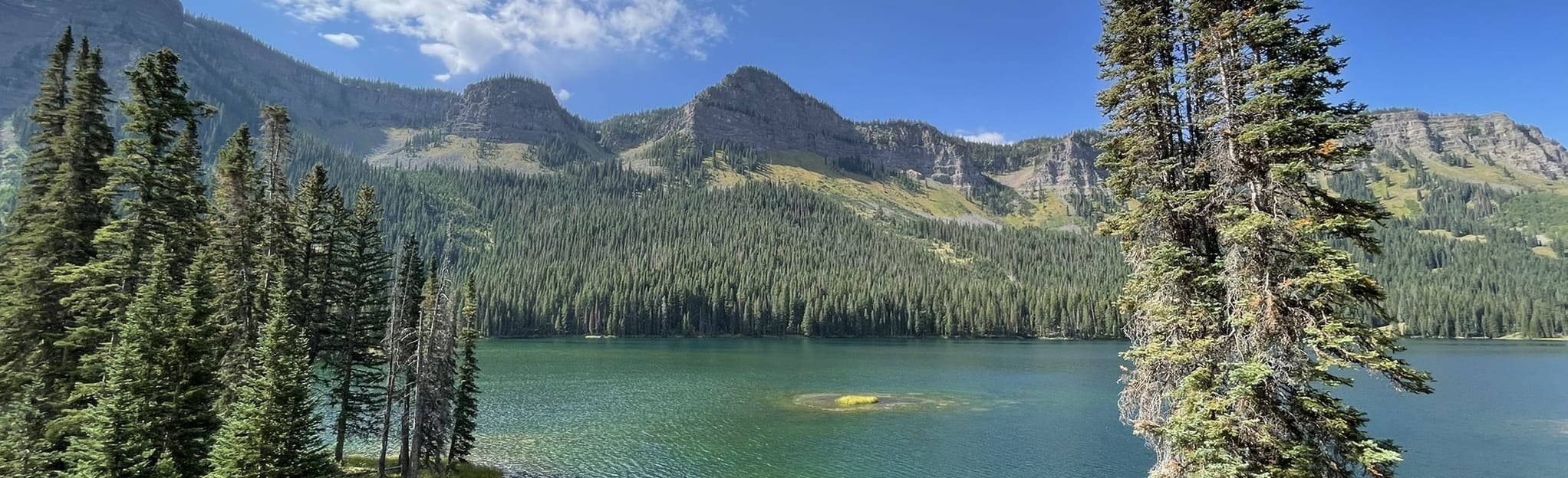 Marvine Loop Trail, Colorado - 34 Reviews, Map | AllTrails