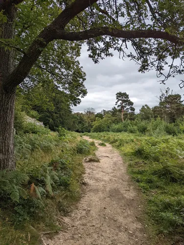 10 Best Hikes and Trails in Arnside and Silverdale National Landscape ...