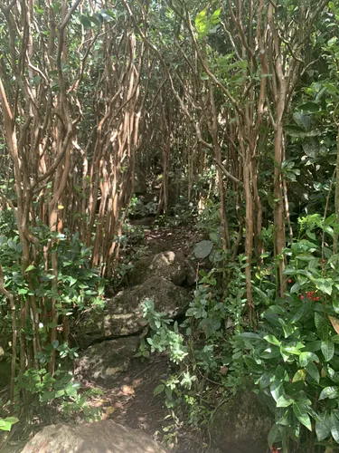 2023 Best Wildlife Trails in Verdun | AllTrails