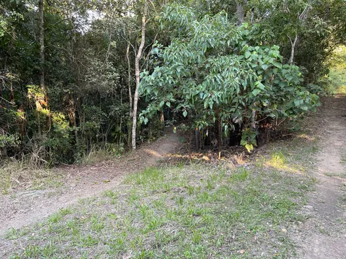 Best Hikes and Trails in Rowallan Park | AllTrails