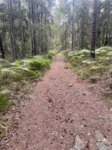 Best Hikes and Trails in Segeltorp | AllTrails