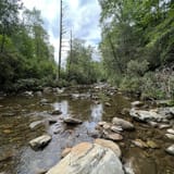 South Toe River Loop Trail, North Carolina - 357 Reviews, Map | AllTrails