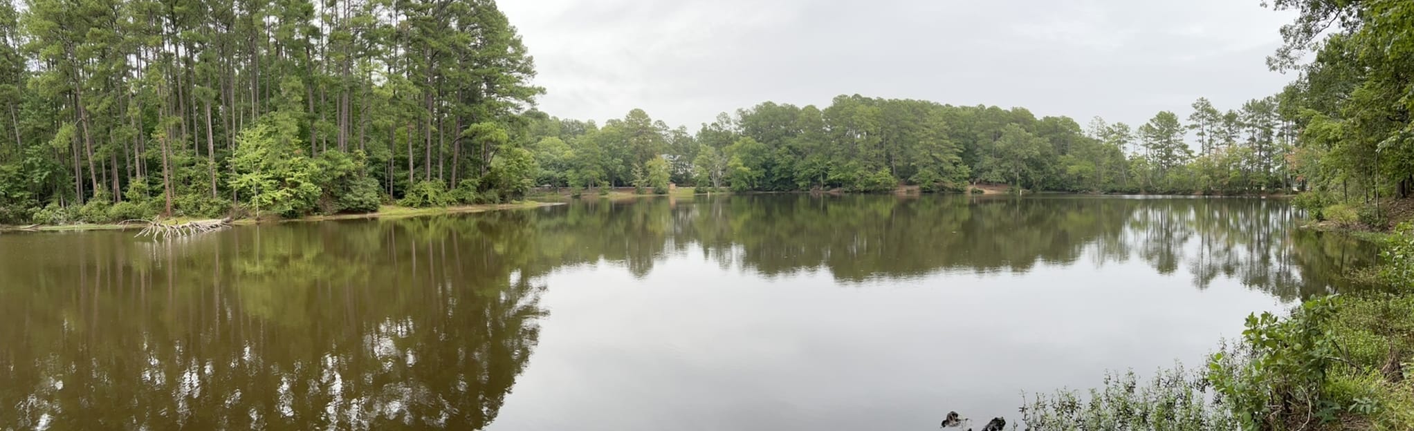 Lake Wheeler Loop - North Carolina | AllTrails