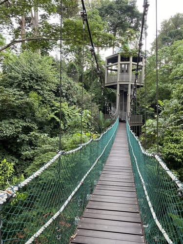 Best Hikes and Trails in Taman Eko Rimba Kuala Lumpur | AllTrails