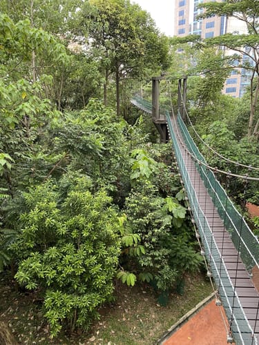 Best Hikes and Trails in Taman Eko Rimba Kuala Lumpur | AllTrails