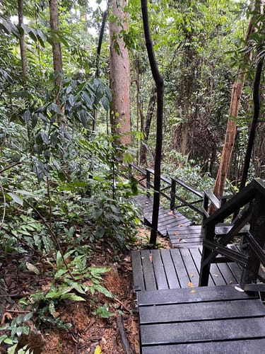 Best Hikes and Trails in Taman Eko Rimba Kuala Lumpur | AllTrails