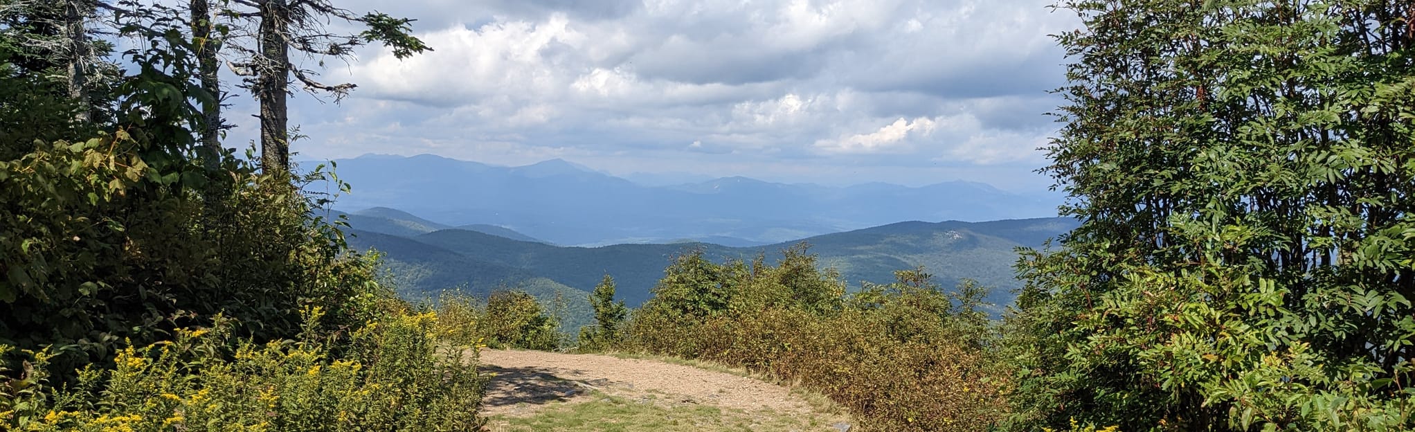 Mount Shaw via Gorilla Trail, New Hampshire - 38 Reviews, Map | AllTrails