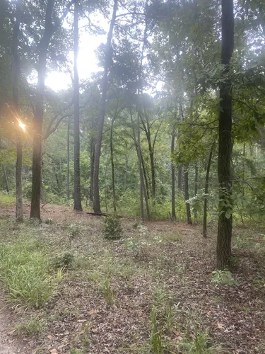 Best Hikes and Trails in Tyler State Park | AllTrails