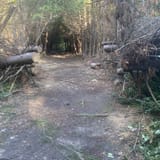 Old Quarry and Stony Swamp Trail Loop, Ontario, Canada - 321 Reviews ...