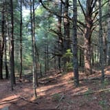 Trestle Trail and Carbuncle Pond, Rhode Island - 116 Reviews, Map ...