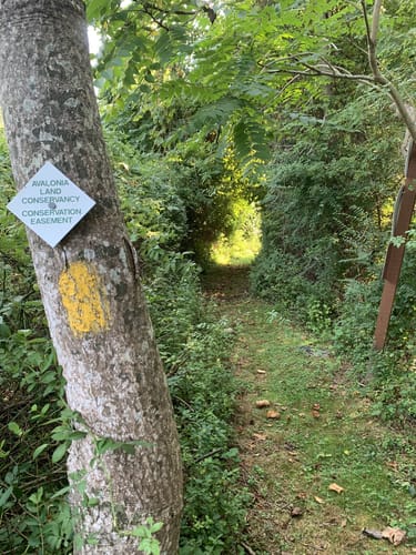Best Hikes and Trails in Knox Family Farm Preserve | AllTrails