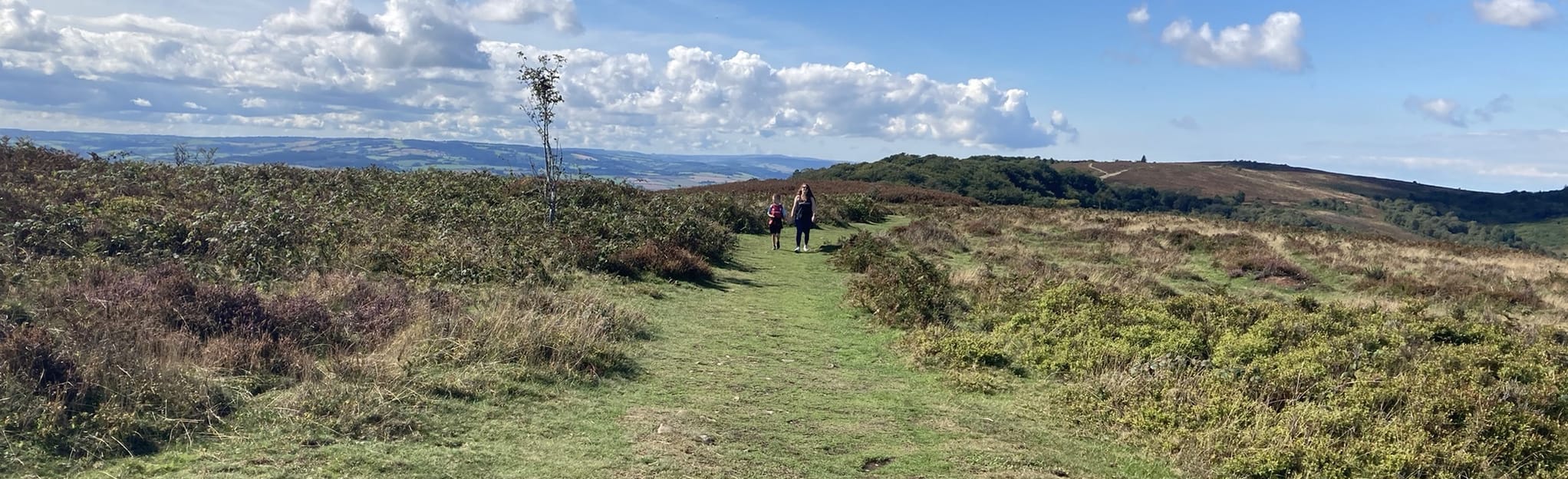 Wills Neck, Lydeard Hill and Aisholt Common Circular: 11 Reviews, Map - Somerset, England ...