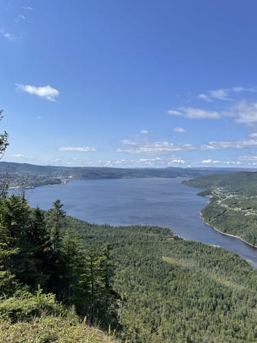2023 Best 10 Trails and Hikes in Corner Brook | AllTrails