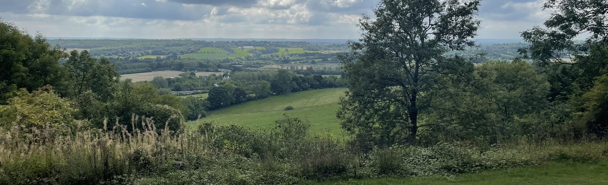 Caterham and Old Park Wood Circular, Surrey, England - 5 Reviews, Map ...