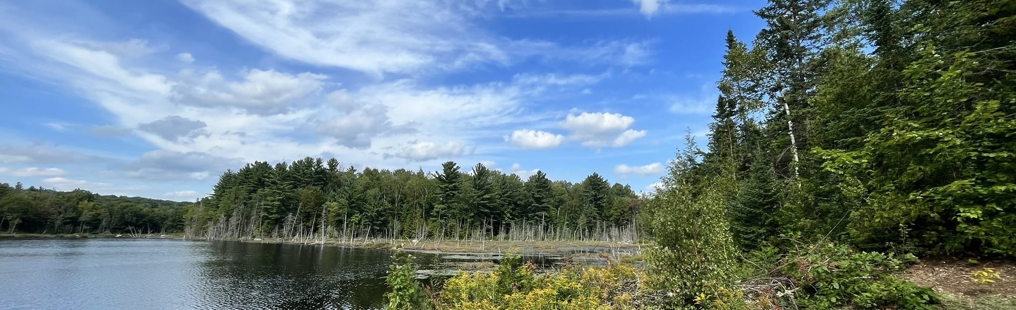 Beauréal Nature Reserve Trail: 196 foto's - Quebec, Canada | AllTrails