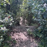 Pickett Trail, Texas - 567 Reviews, Map | AllTrails