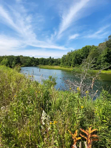 10 Best Hikes and Trails in Huron National Forest | AllTrails
