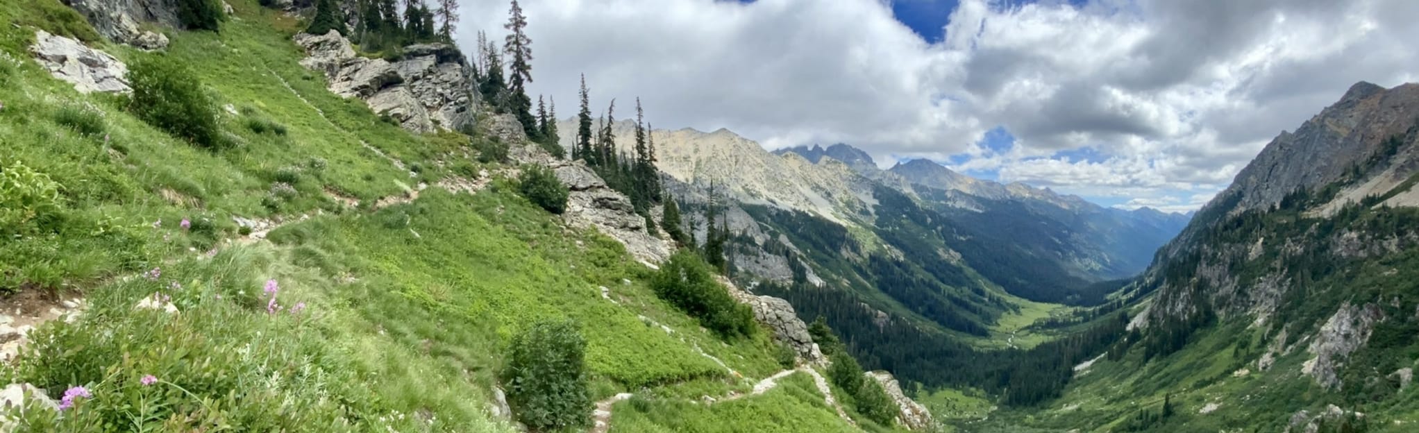 Spider Meadow via Phelps Creek Trail, Washington - 279 Reviews, Map ...