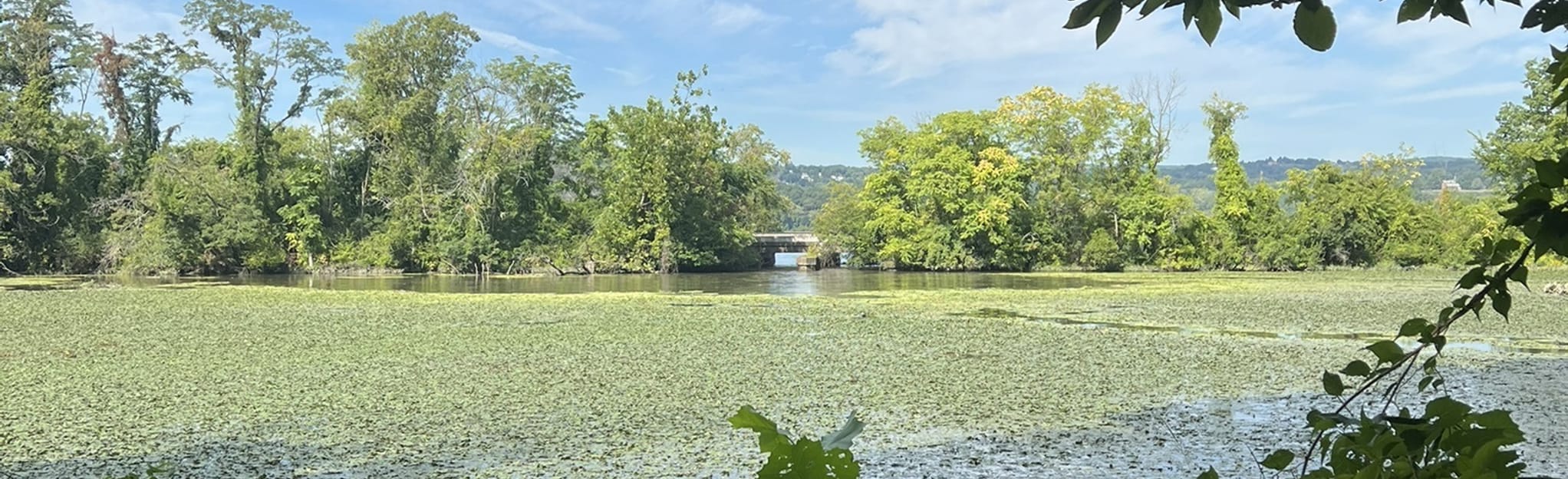 Bowdoin Park Loop, New York - 272 Reviews, Map | AllTrails