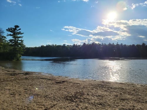 2023 Best Forest Trails in Pinehurst Lake Conservation Area | AllTrails
