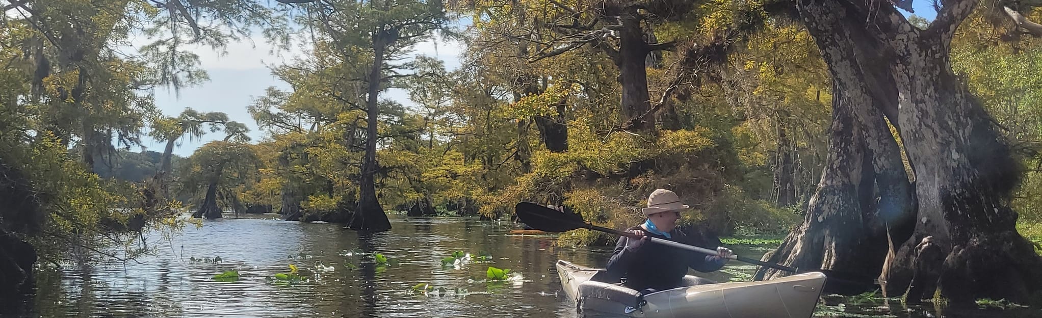 AllTrails | Blackwater Creek and Lake Norris: 20 Reviews, Map - Florida