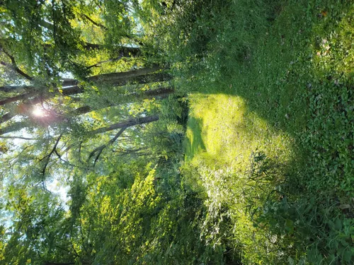 Best Hikes and Trails in Cold Springs State Park | AllTrails