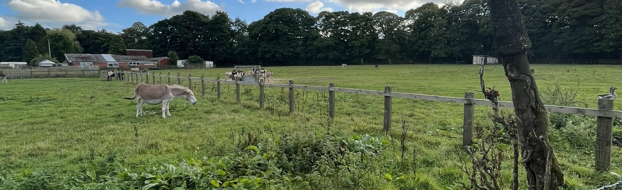 Ormskirk and around Burscough Priory: 141 Reviews, Map - Lancashire ...