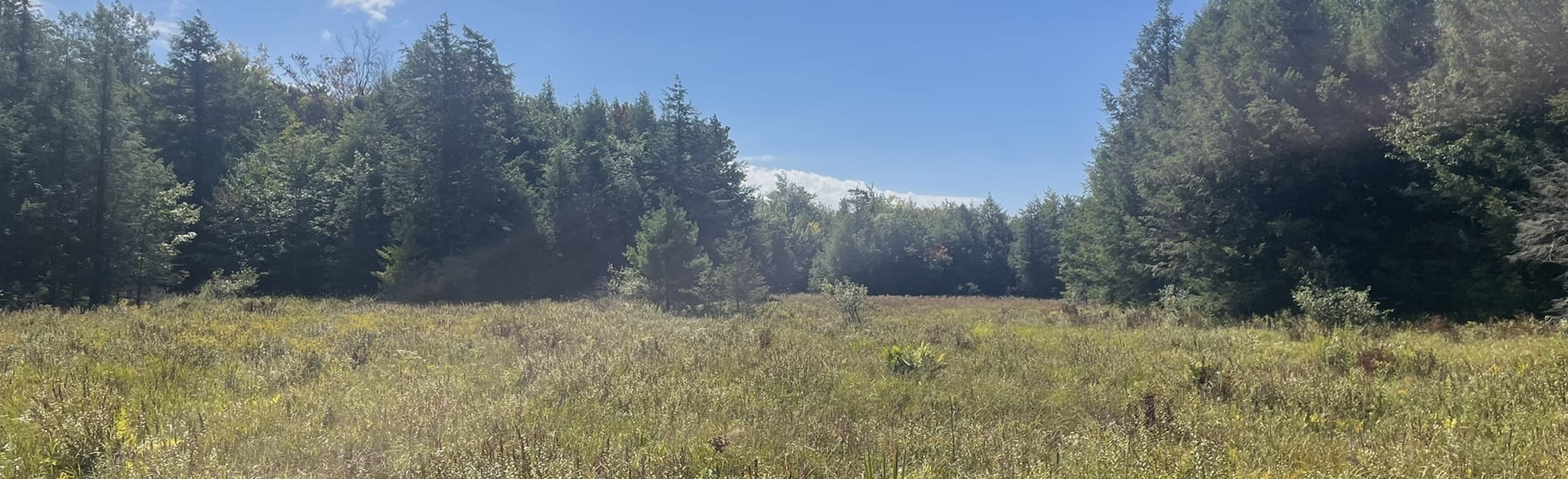 Kingsmere to Keogan Cabin, Quebec, Canada - 246 Reviews, Map | AllTrails