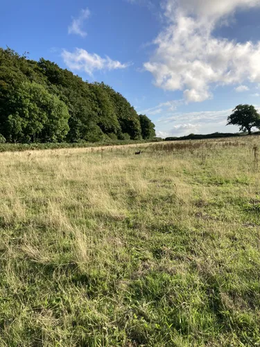 10 Best River Trails in Norfolk Coast National Landscape (AONB) | AllTrails