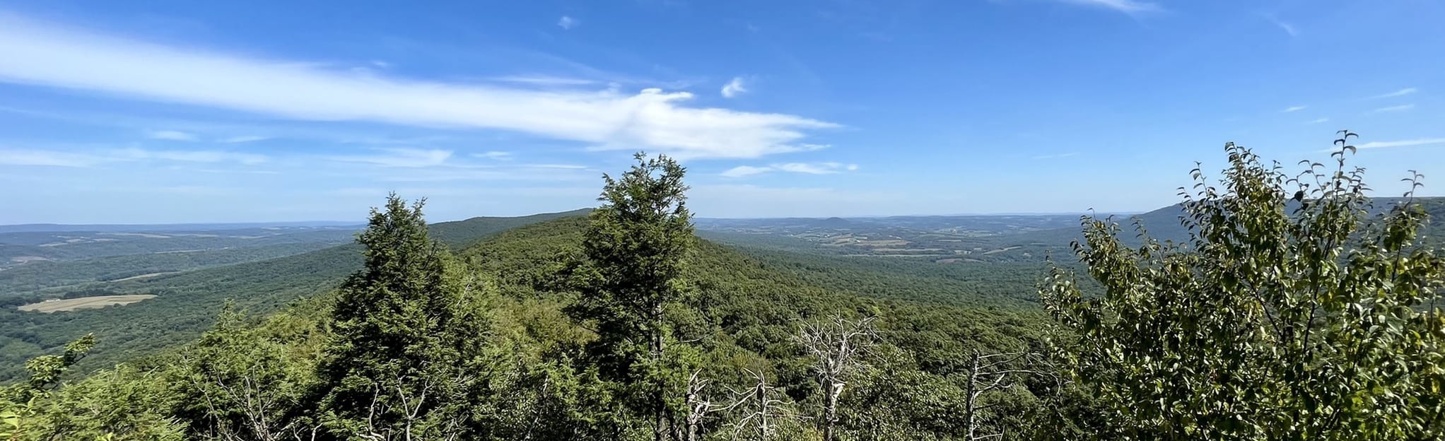 Hawk Mountain Lookout Trail, Pennsylvania - 865 Reviews, Map | AllTrails
