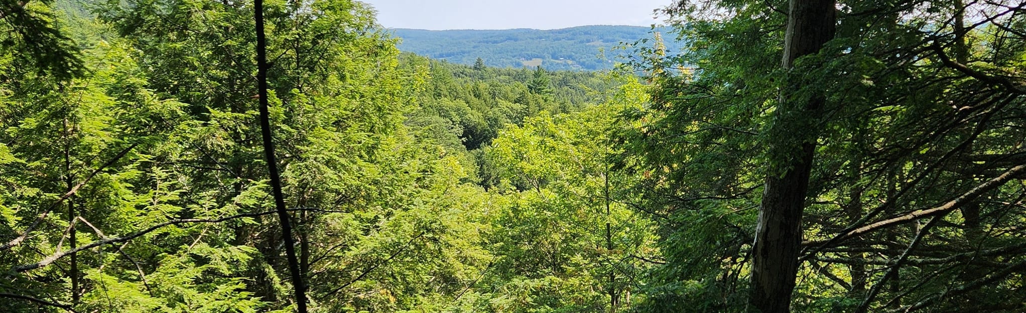 Velvet Rocks via Appalachian Trail: 369 Reviews, Map - New Hampshire ...