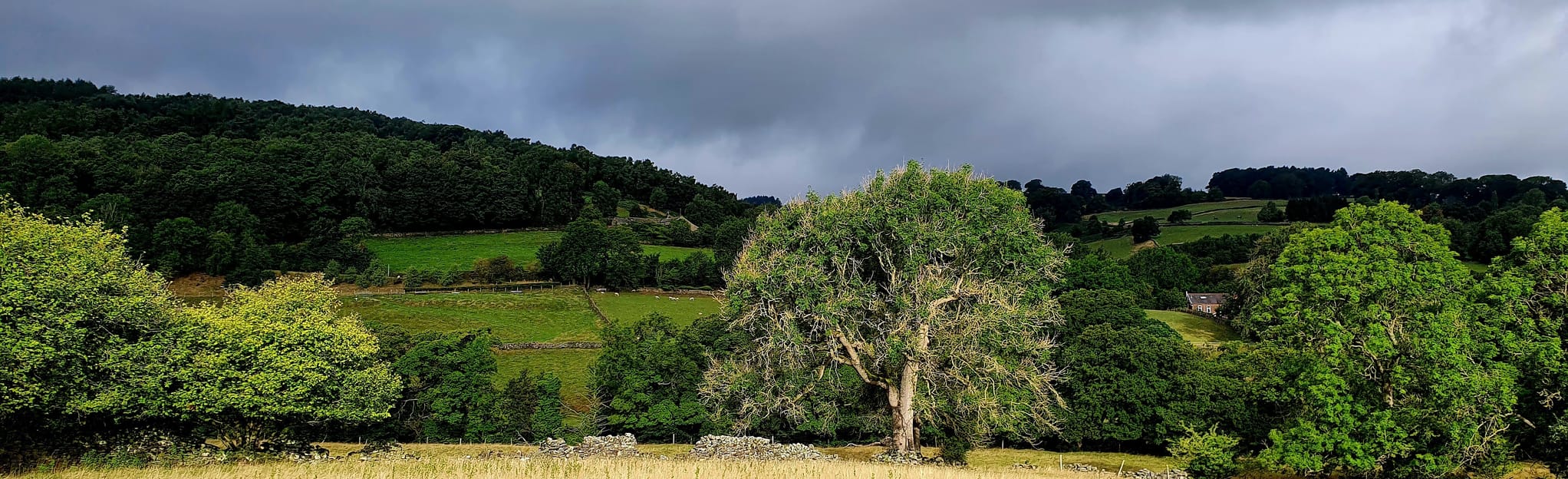 Froggatt Edge and Wood Circular: 115 Reviews, Map - Derbyshire, England ...