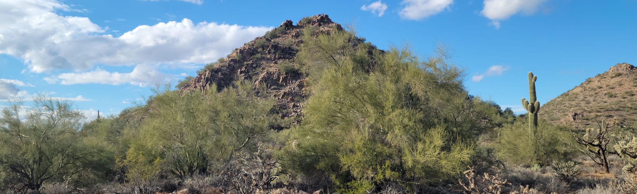 North and South Cat Peak via Meridian Trail - Arizona | AllTrails