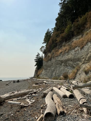 Best Hikes and Trails in Possession Point State Park | AllTrails